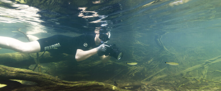 About - Fluval India