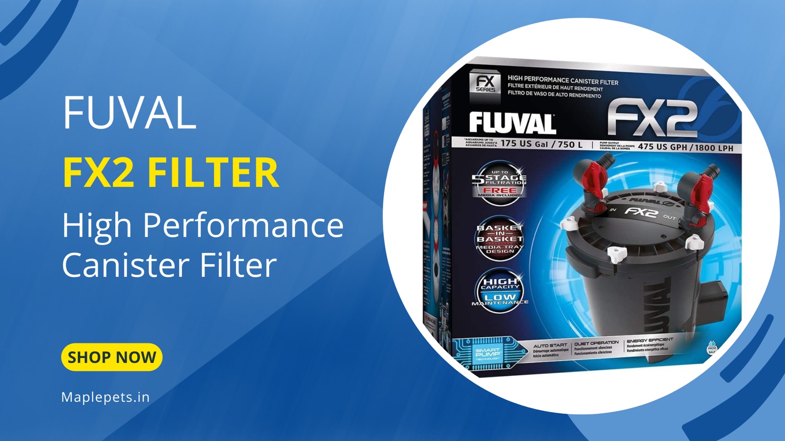 Unveiling the Powerhouse: Fluval FX2 Canister Filter - Fluval India